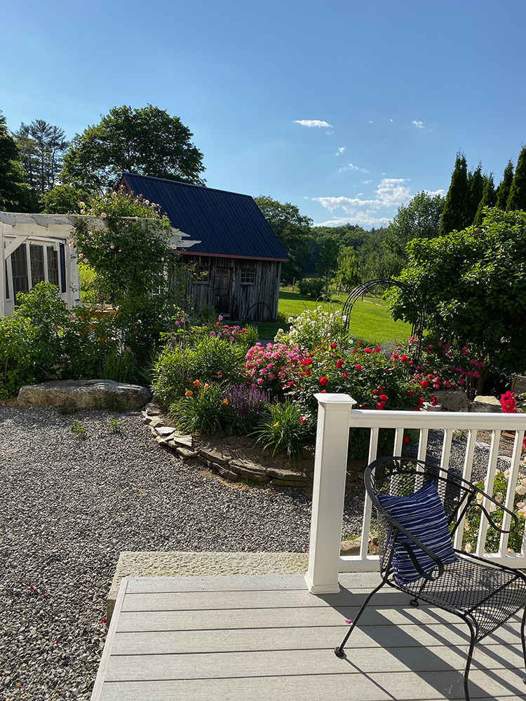 The Harbor View House - Gallery